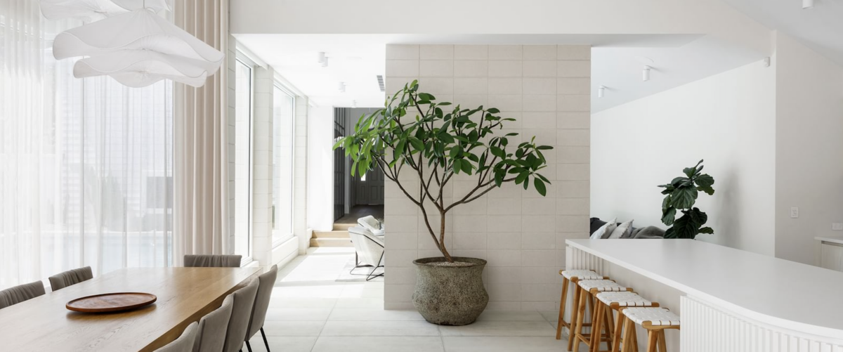 Ray White Luxury Report - Ray White Projects